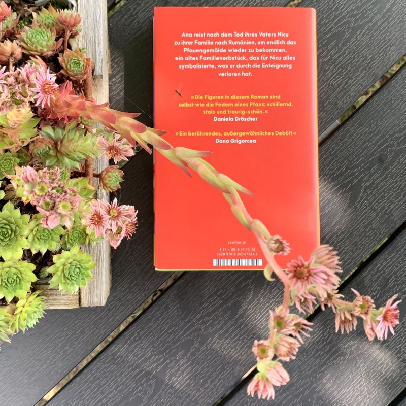 Maria Bidian - Das Pfauengemälde - Aus Liebe zum Lesen